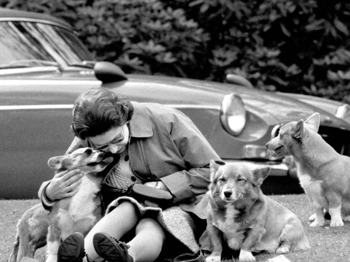 La reina Isabel y sus corgis