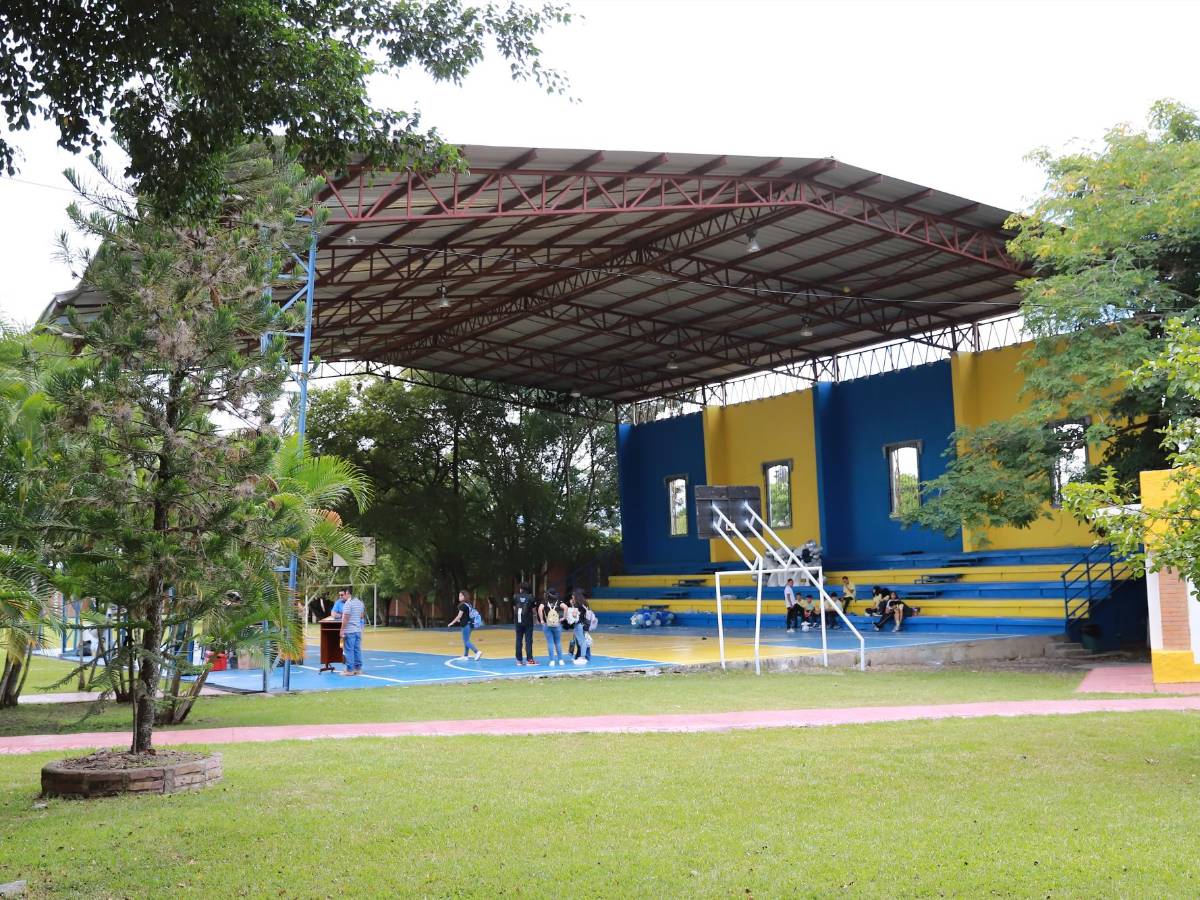 Summer Hill School: Educación de Excelencia, Valores y Crecimiento Personal