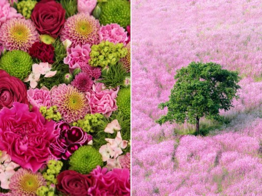 Rosa y verde, la mejor combinación...