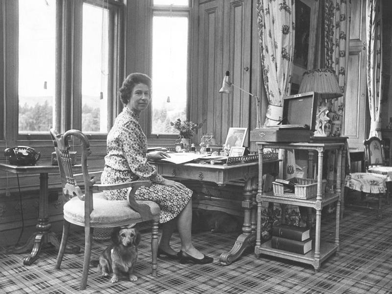 La reina Isabel y sus corgis